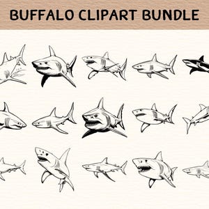 Shark Clipart Bundle Shark Clipart Shark Png Shark Illustration Shark ...