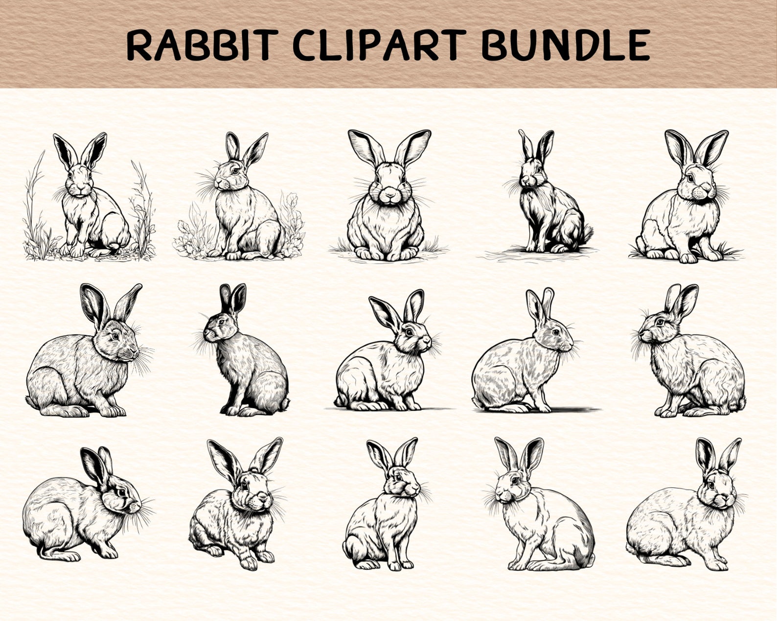 Rabbit Clipart Bundle Rabbit Clipart Rabbit Png Rabbit Illustration ...