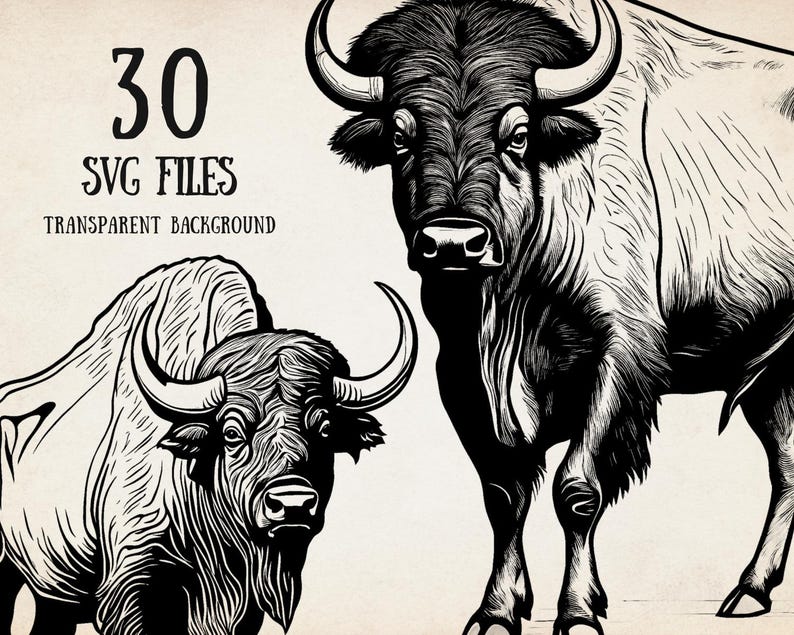 Buffalo Svg Bundle | Buffalo Svg Cut File | Buffalo Vector File ...