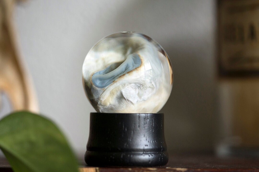 Real Sheep Eye Wet Specimen | Eyeball Ethical Taxidermy | Preserved ...