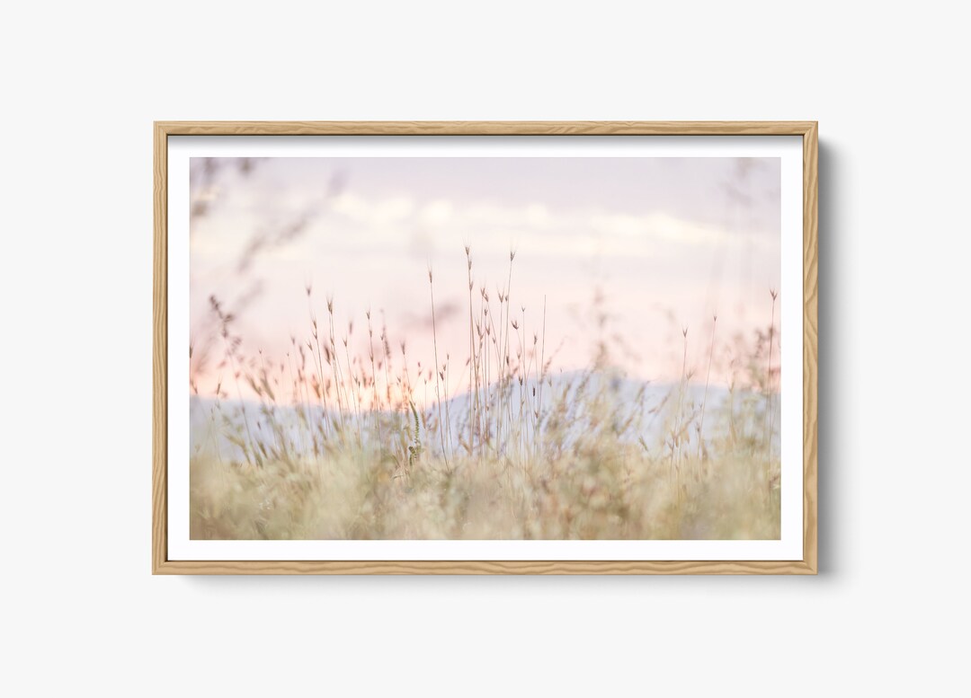 Fine Art Provence, Dawn in Provence Field Photo, Nature Photography ...
