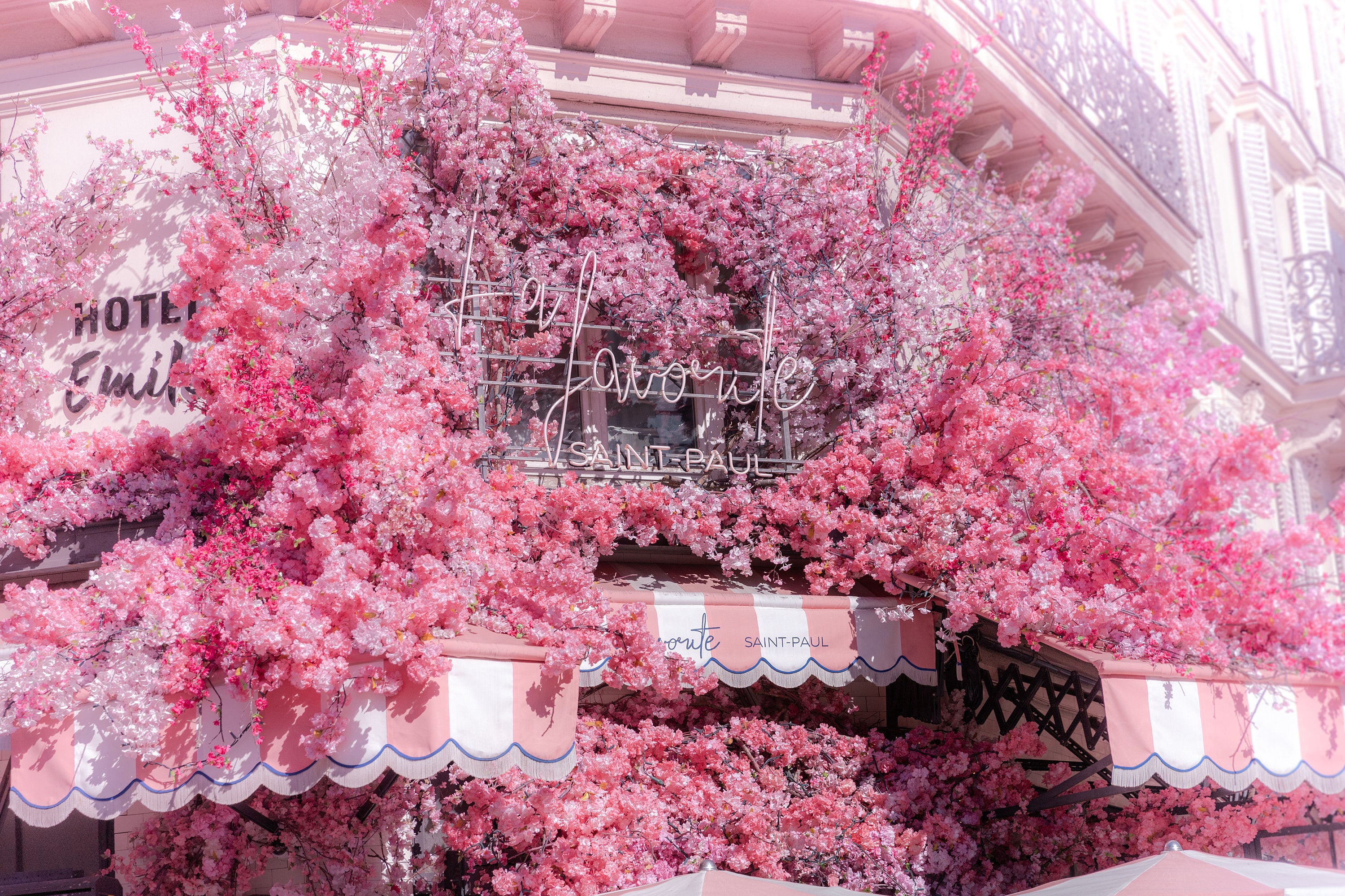 Paris Photography, La Favorite Cafe, Paris Pink Cafe, French Home Decor ...