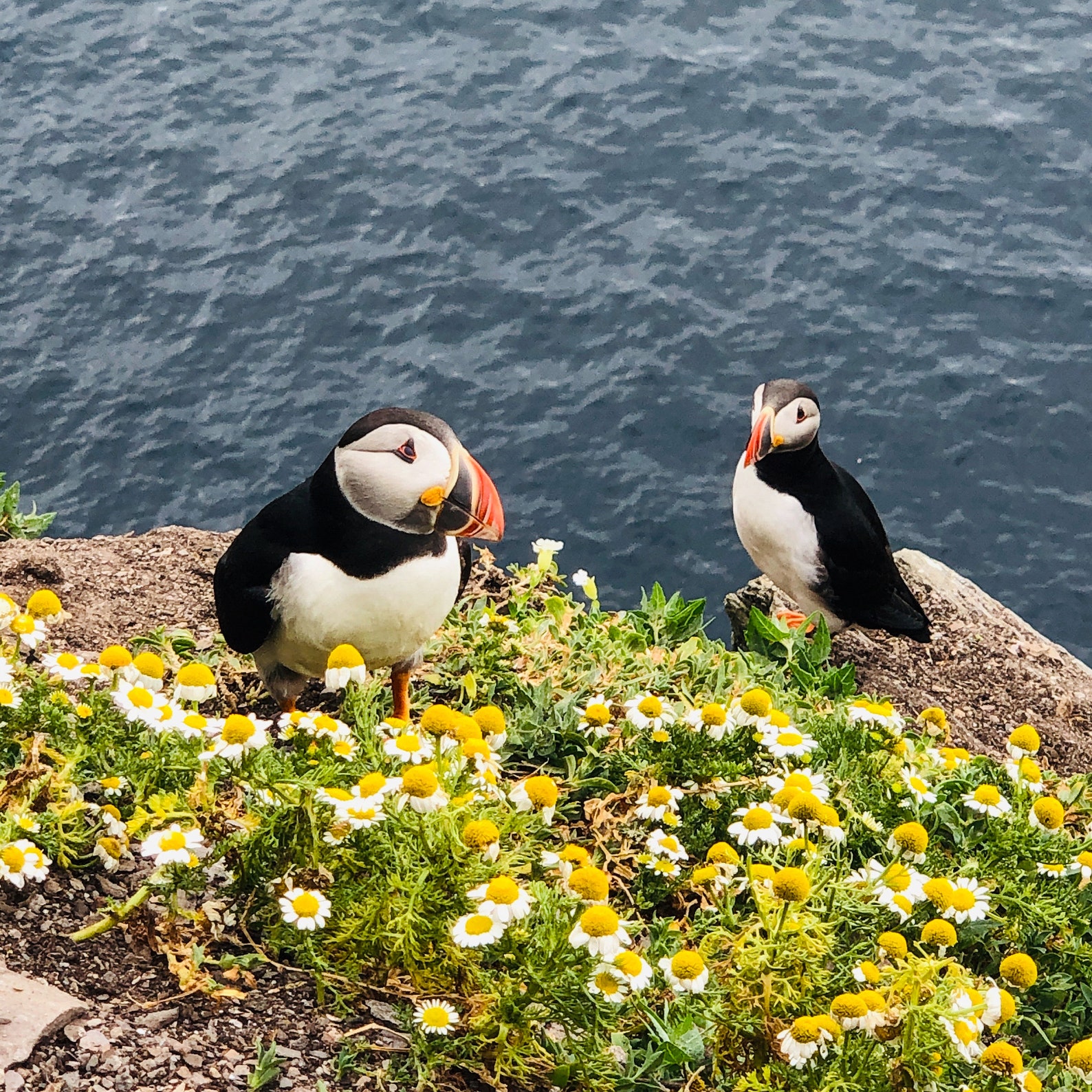 Ireland Wall Art Set, Irish Photo Prints, Square Prints, Counryside ...