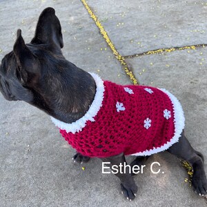 Crochet Christmas Dog Sweater PATTERN Only PDF - Etsy