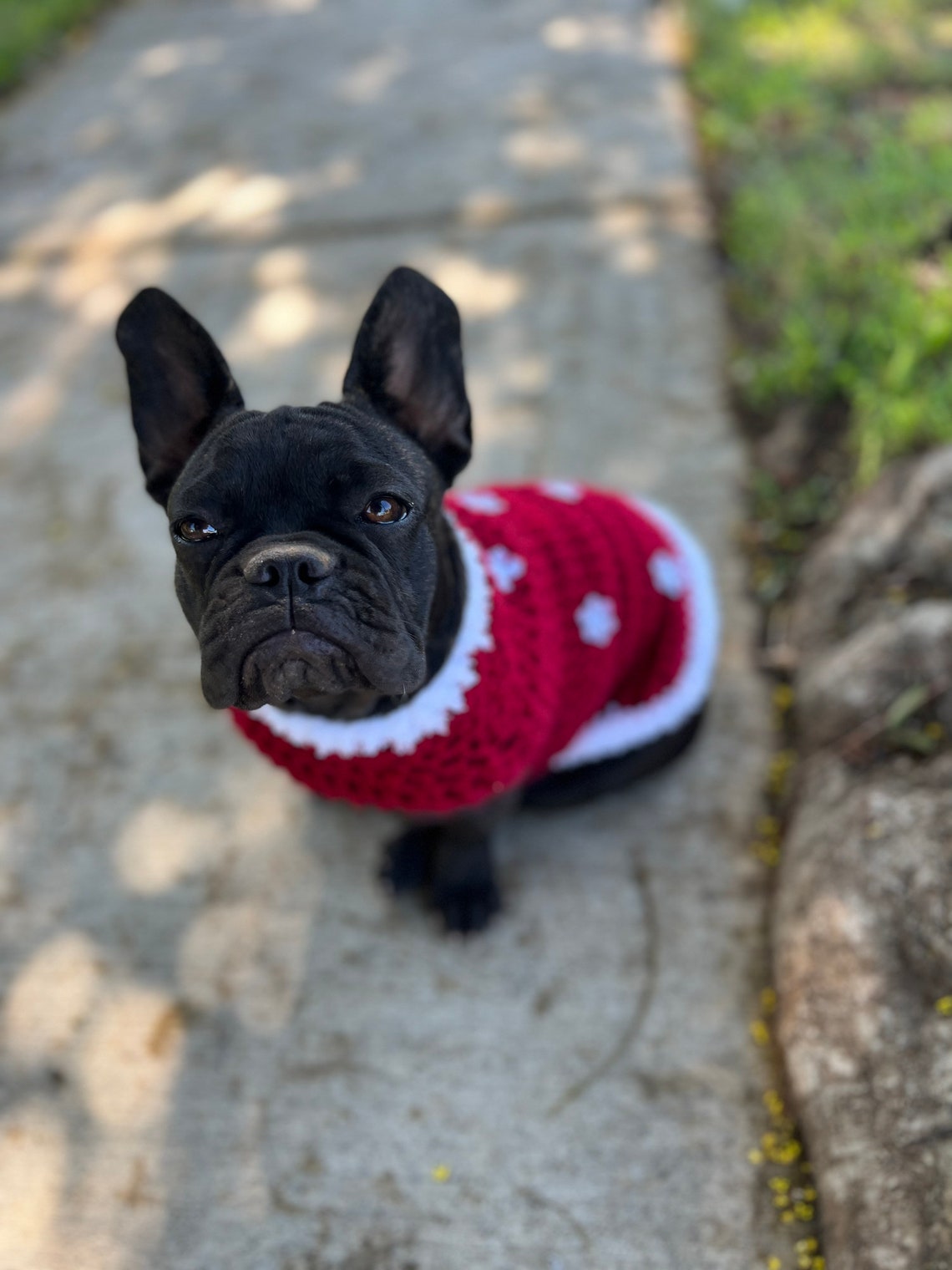 Crochet Christmas Dog Sweater PATTERN Only PDF - Etsy