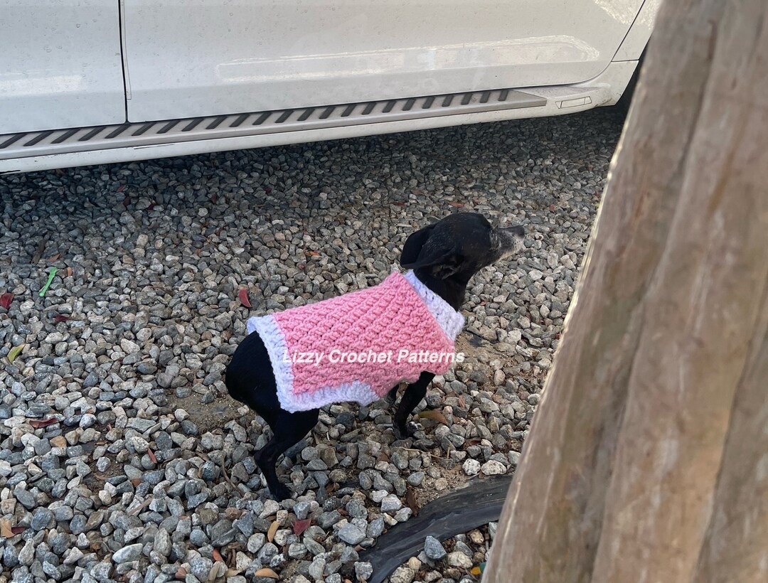 Crochet Dog Sweater Chihuahua Xxs-xl Crochet Sweater PATTERN Only All ...