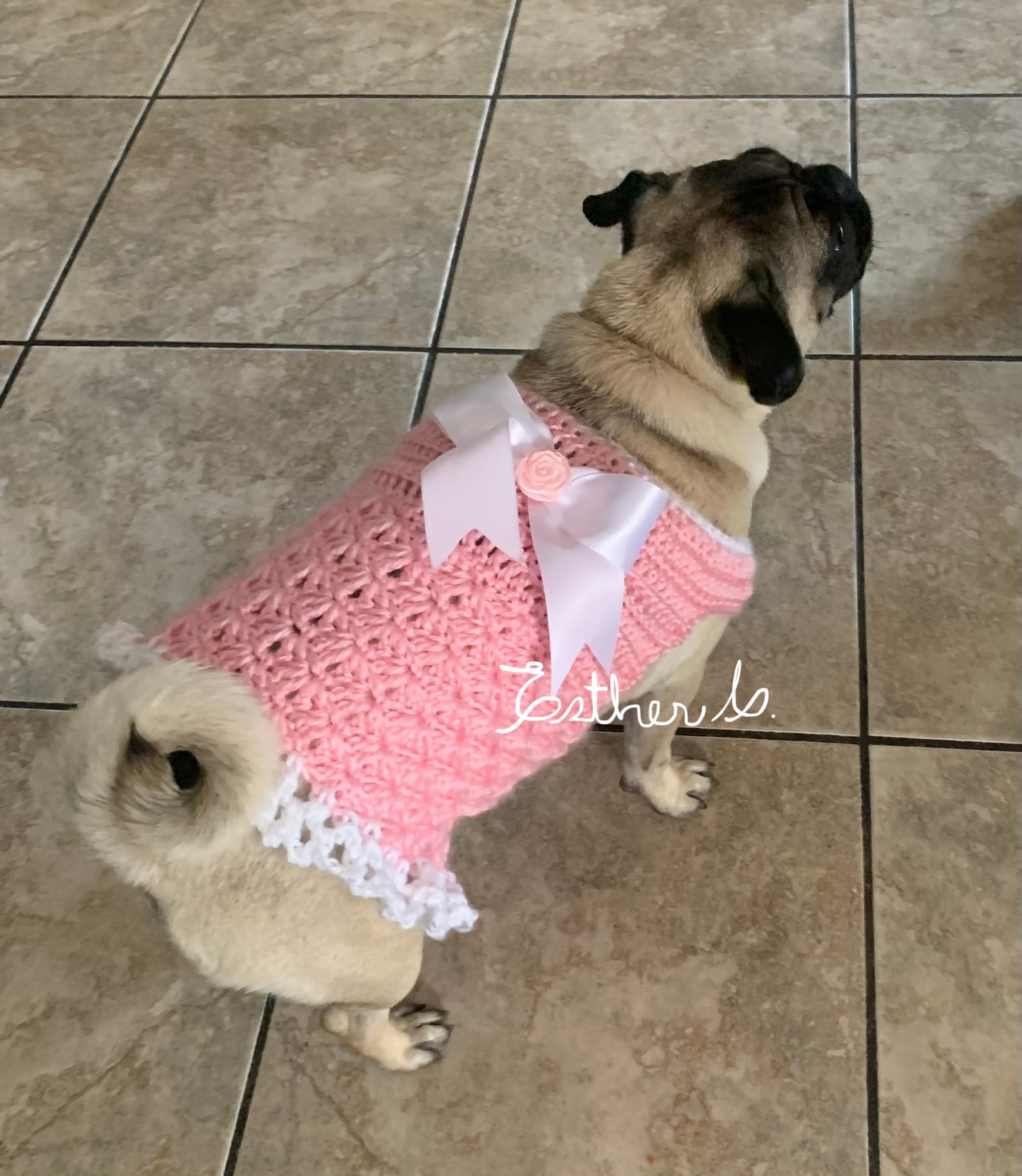 Crochet Dog Dress PDF Pattern Only Easy to Follow, Download - Etsy