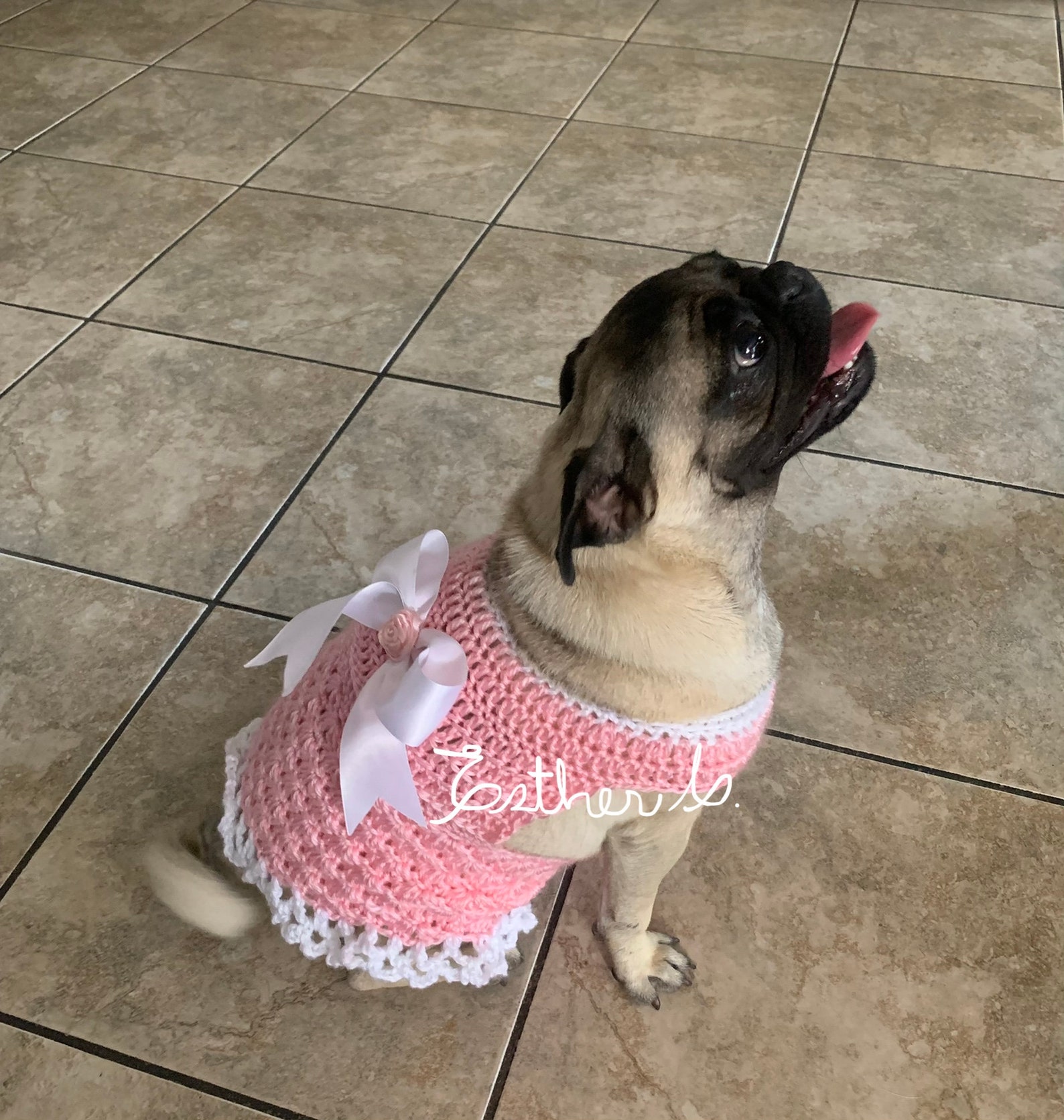 Crochet Dog Dress PDF Pattern Only Easy to Follow, Download - Etsy