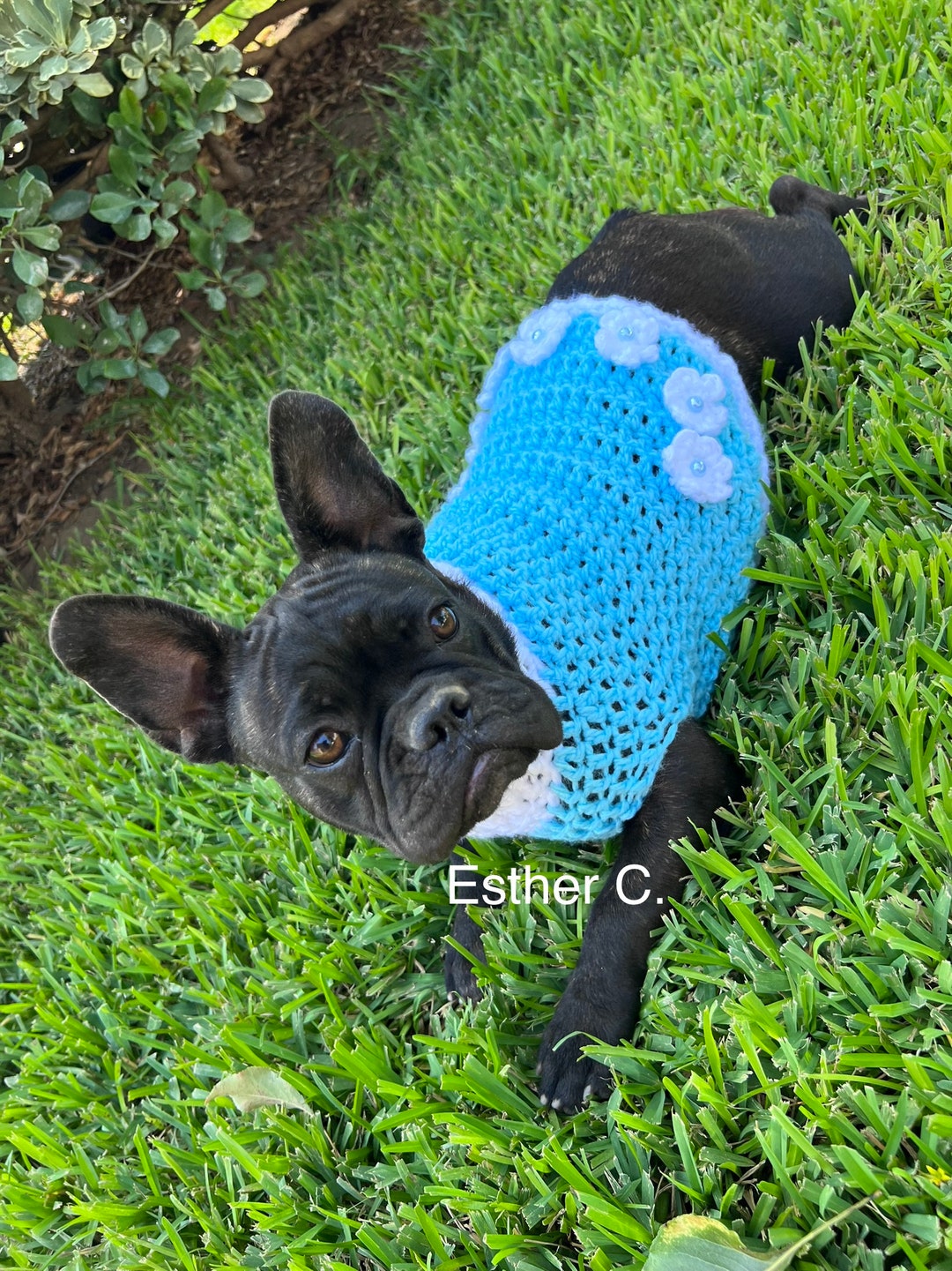 Crochet Dog Sweater PATTERN ONLY PDF Instant Download - Etsy