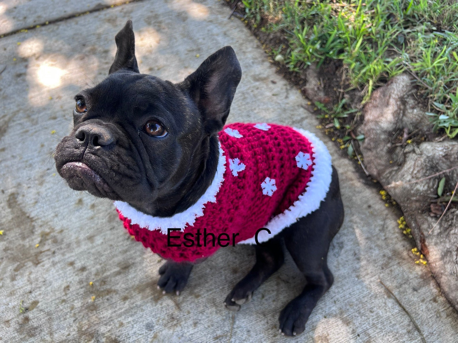 Crochet Christmas Dog Sweater PATTERN Only PDF - Etsy