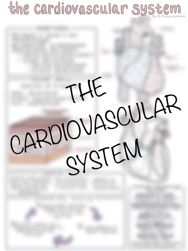 A&P Study Guide: the Cardiovascular System for Nursing and Pre-nursing ...