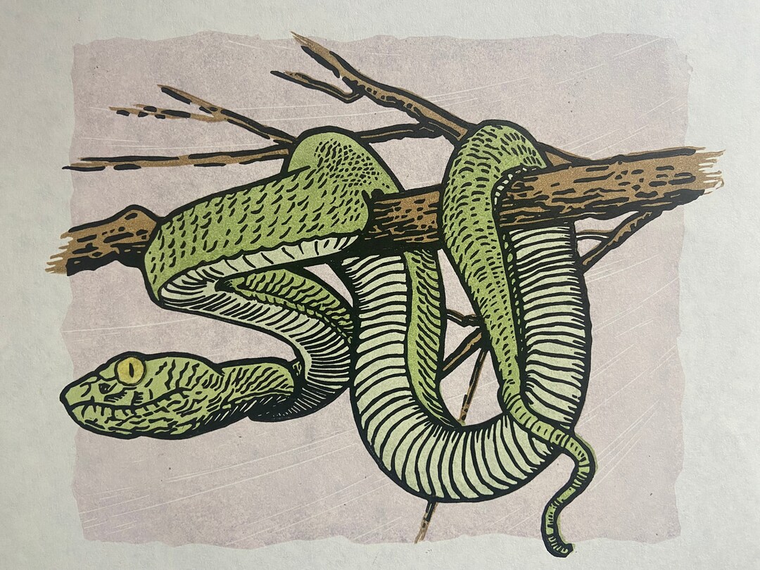 Original Linocut Print green Snake, Limited Edition Prints 20 - Etsy