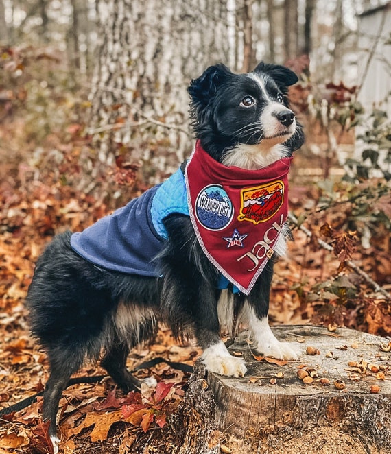 Bark Ranger Bandana | Etsy