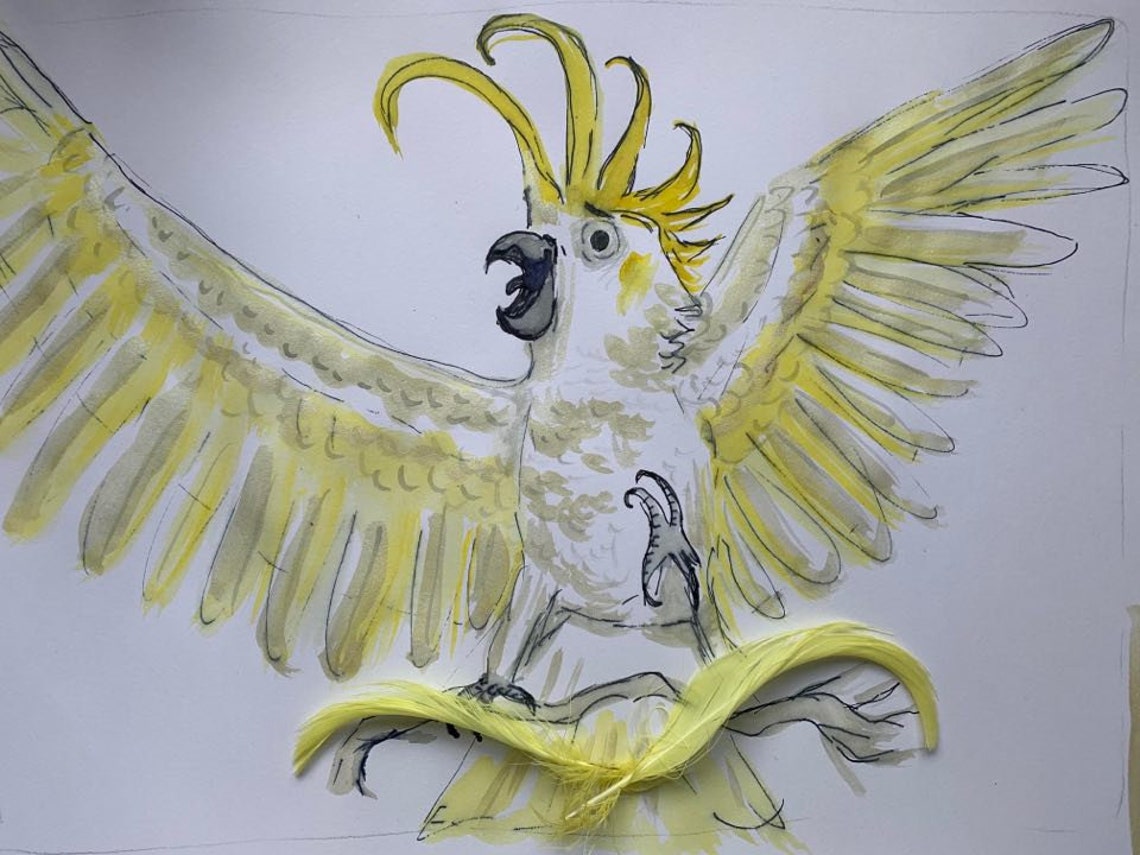 Australian Birds Zones of Regulation. - Etsy