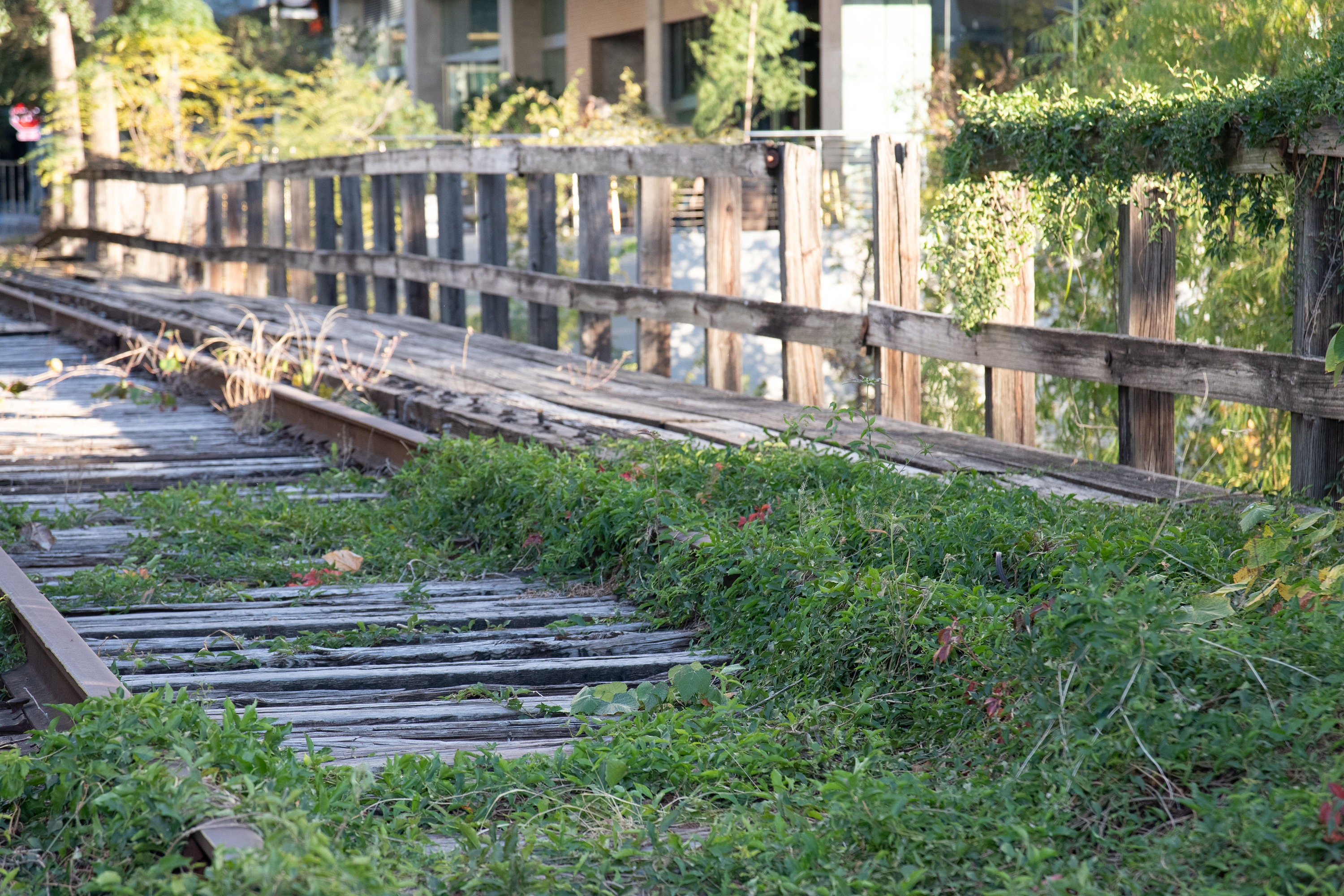 Digital Background of Railroad Tracks With Lush Greenery, Photoshop ...