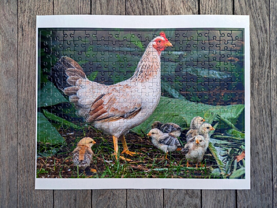 Hawaii Kai Wild Chickens 10x14 Photo Jigsaw Puzzle 252 Pieces - Etsy