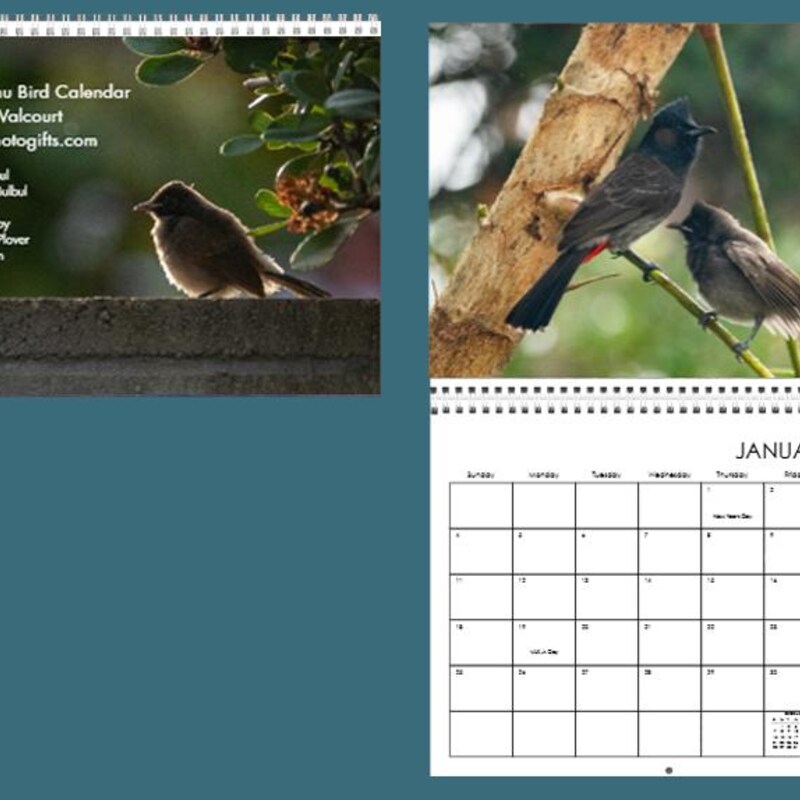 Booby Calendar - Etsy