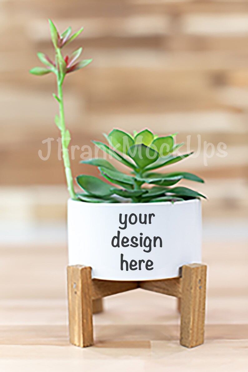 Potted Plant Mockup, White Planter Mockup, Design Digital File, Photo ...
