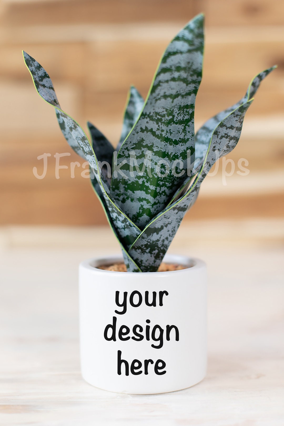 Potted Plant Mockup, White Planter Mockup, Design Digital File, Photo ...