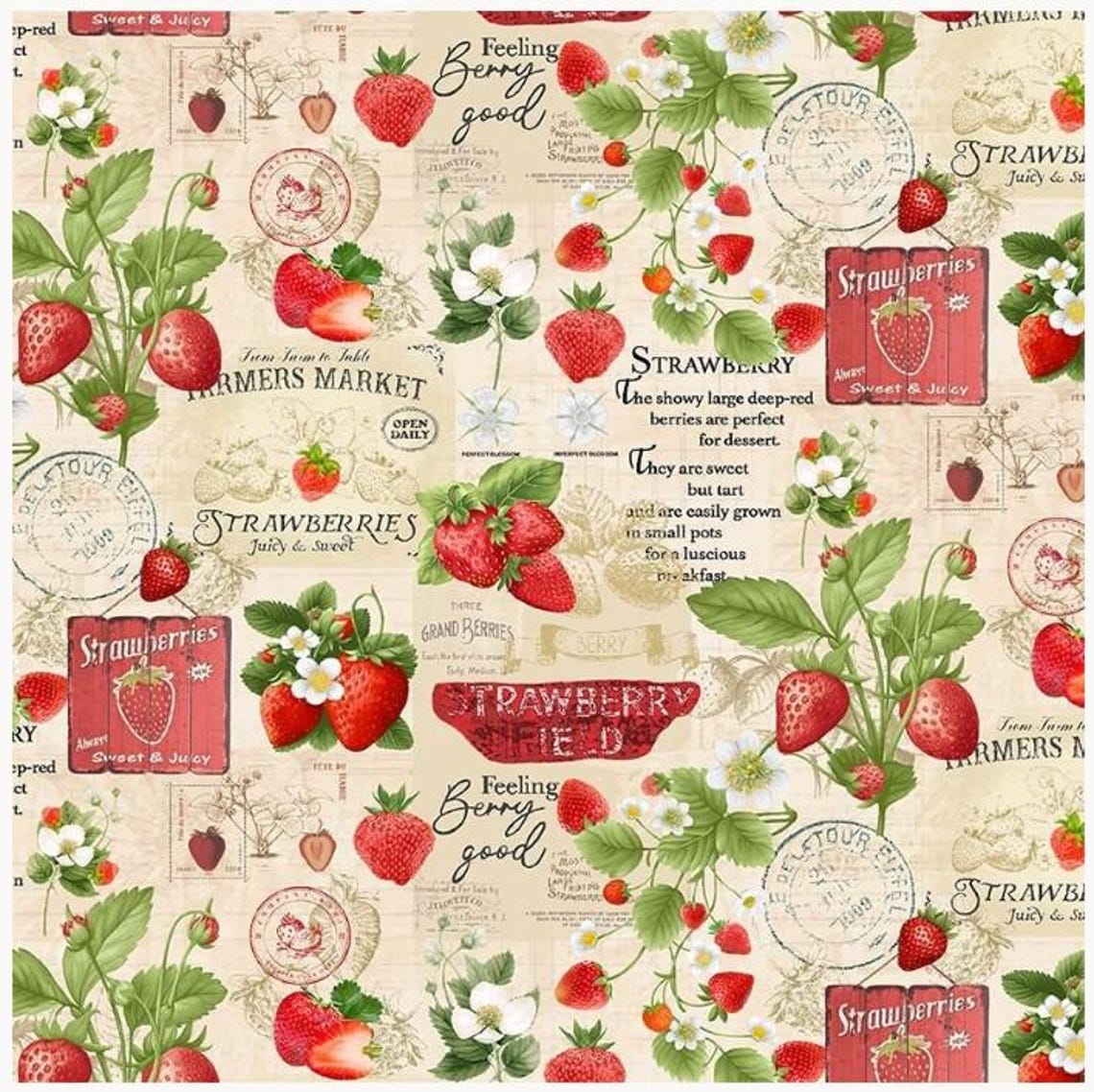 Strawberries Fabric by Timeless Treasures - Etsy