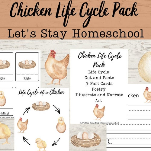 Chicken Life Cycle Mini Unit Chicken Life Cycle Bundle | Etsy