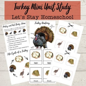 Turkey Mini Unit Study - Etsy
