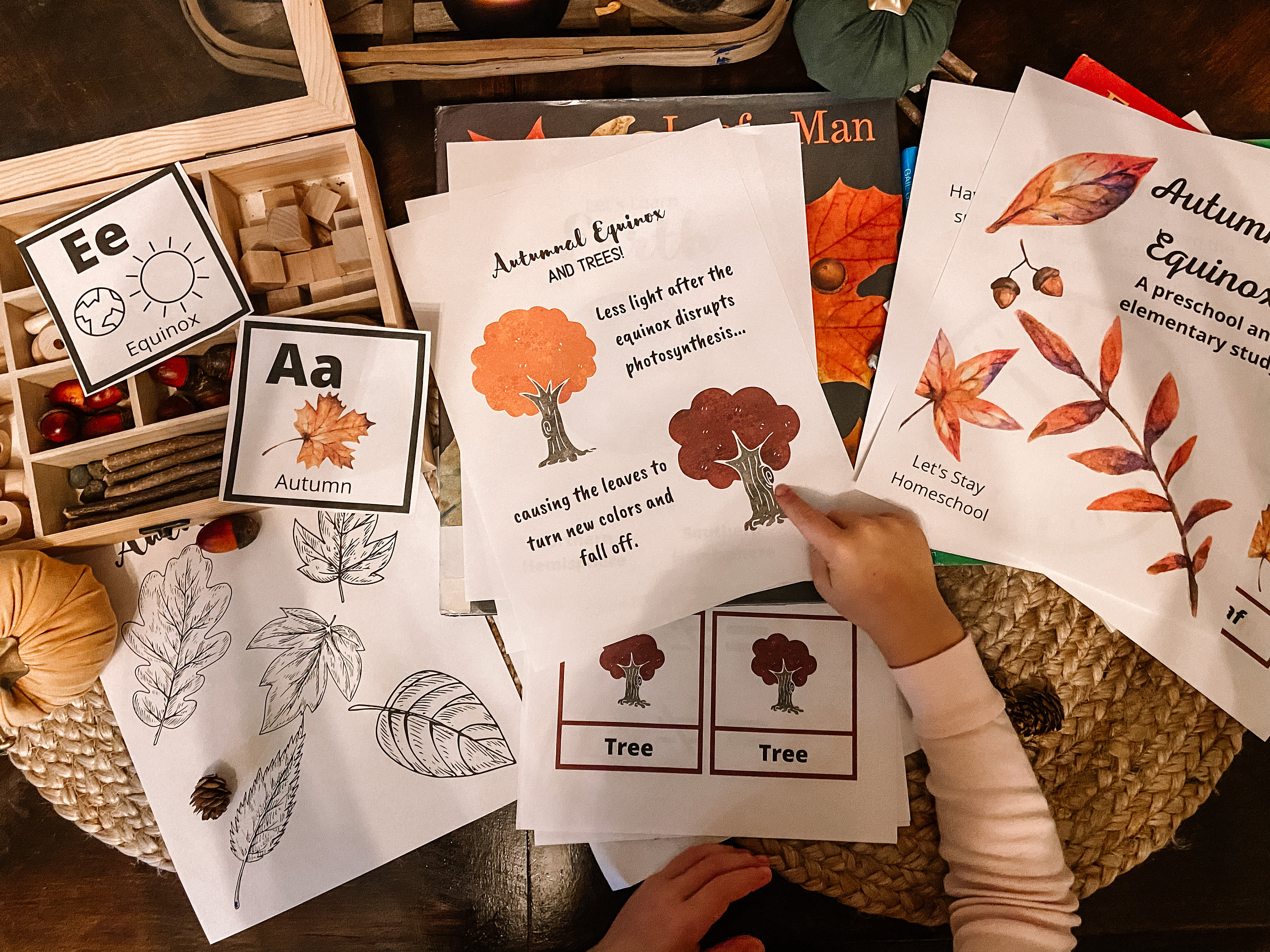 Autumnal Equinox Unit Study Equinox Unit Study Autumn Unit | Etsy