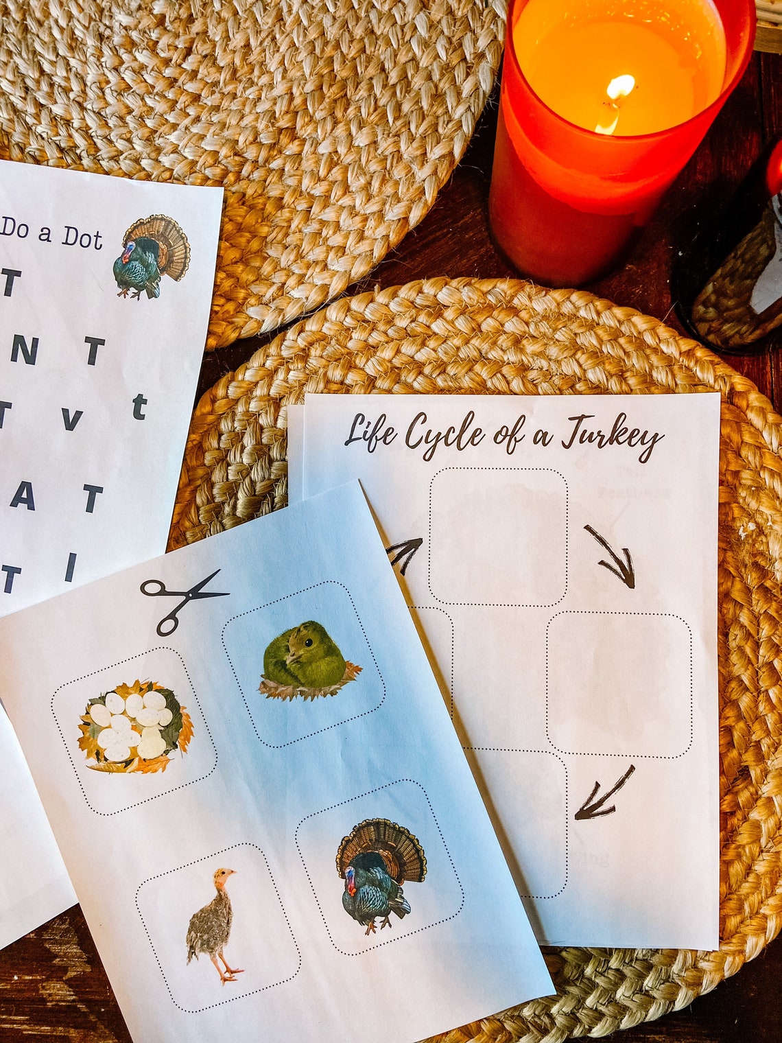 Turkey Mini Unit Study - Etsy