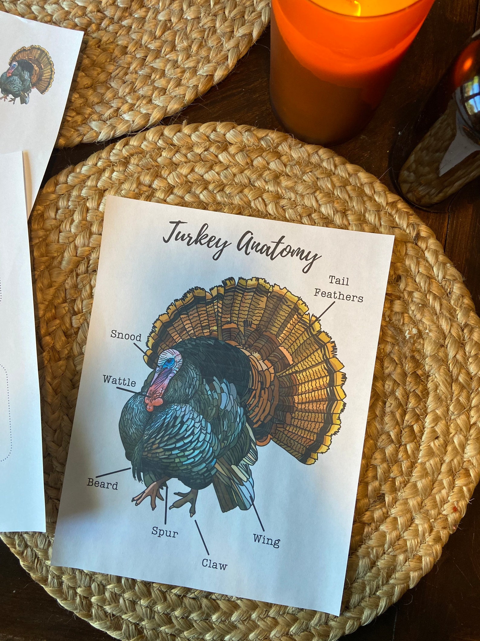 Turkey Mini Unit Study - Etsy