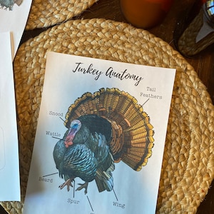Turkey Mini Unit Study - Etsy