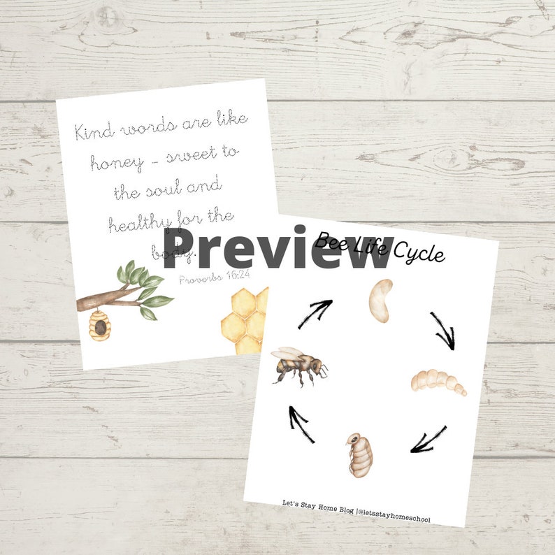 Bee Mini Unit | Life Cycle of a Bee | Bee Anatomy | Bee Printable Pack ...