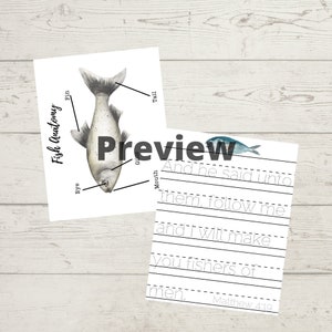 Fish Life Cycle and Anatomy Mini Unit | Fish Preschool Pack - Etsy