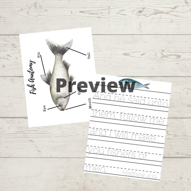 Fish Life Cycle and Anatomy Mini Unit | Fish Preschool Pack - Etsy