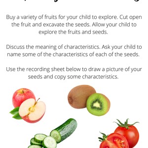 Seeds Mini Unit | Seeds Unit Study | Seeds Printable Pack - Etsy