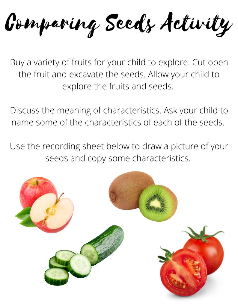 Seeds Mini Unit | Seeds Unit Study | Seeds Printable Pack - Etsy