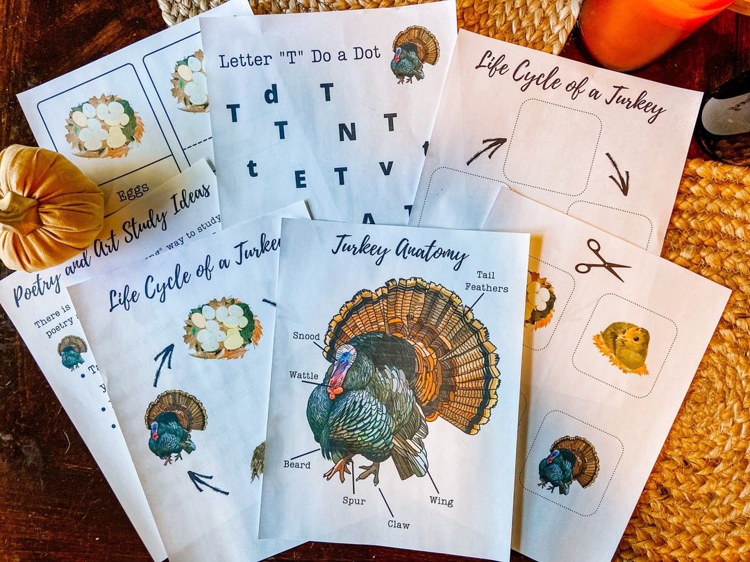 Turkey Mini Unit Study - Etsy