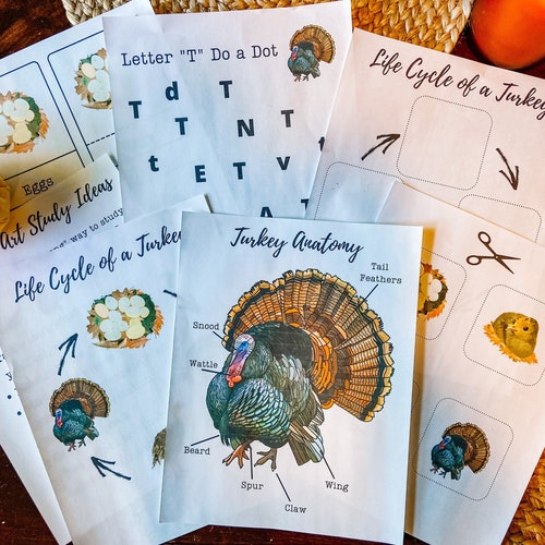 Turkey Unit Study Bundle Thanksgiving Study Fall Montessori - Etsy