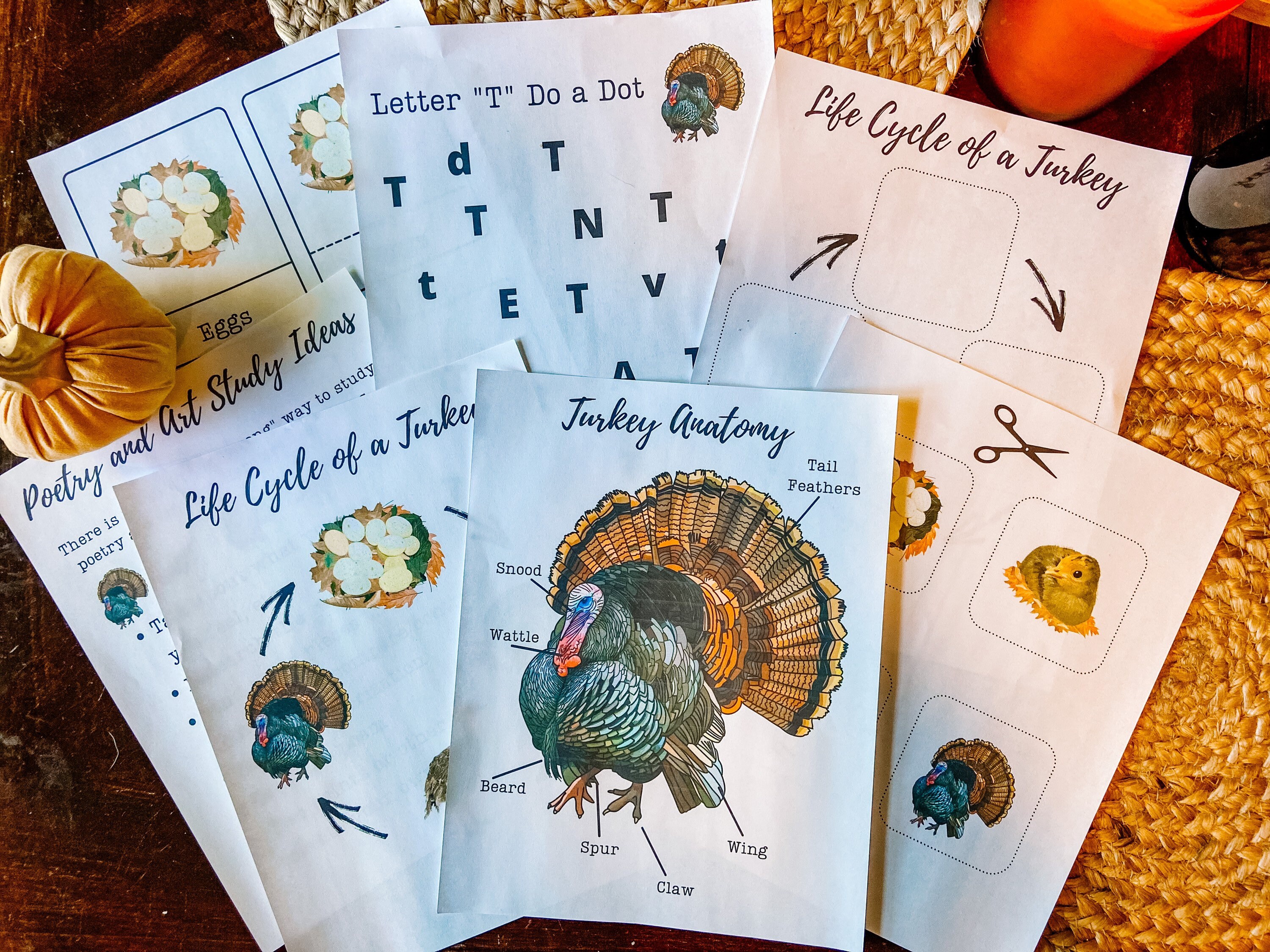 Turkey Mini Unit Study - Etsy