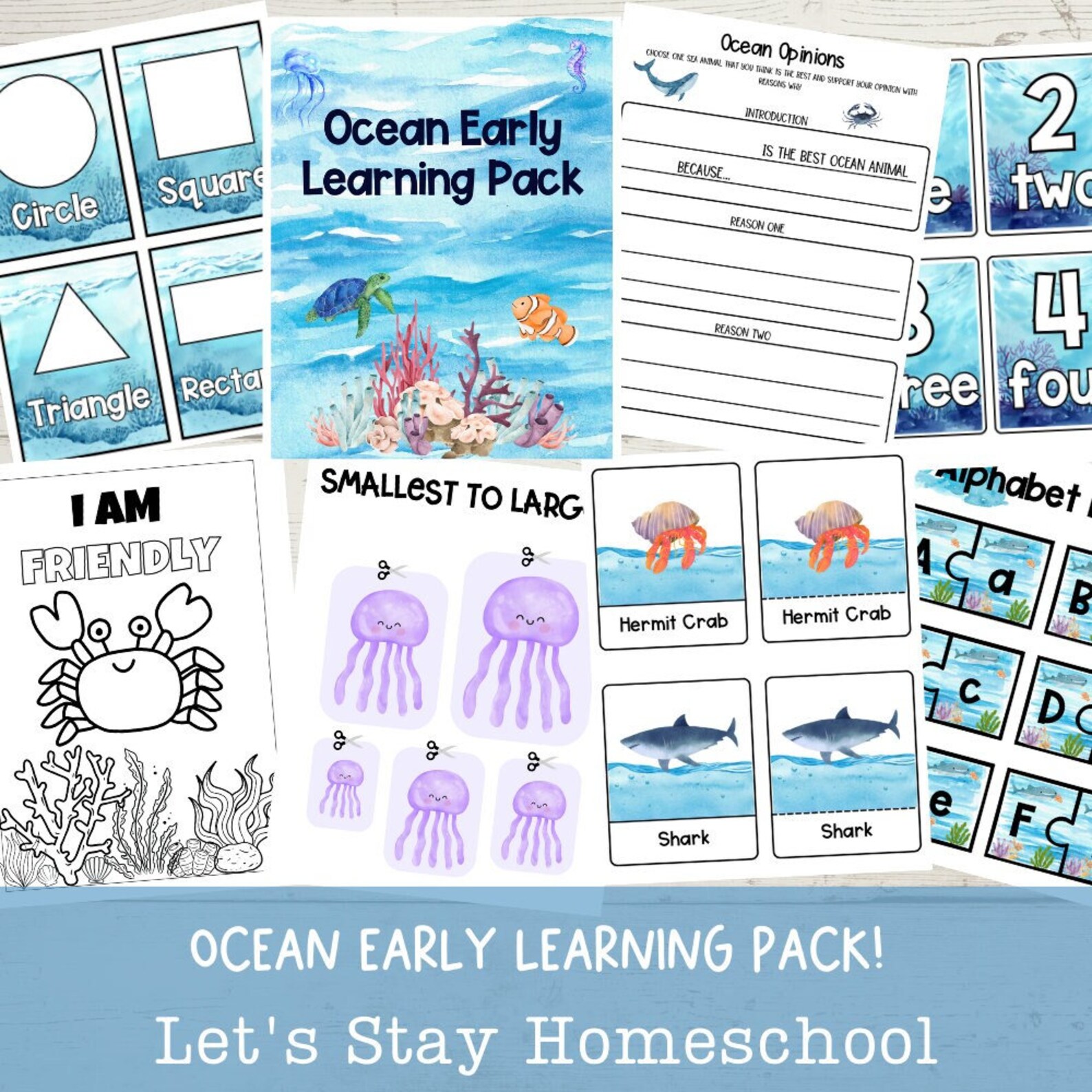 Ocean Themed Early Learning Pack | Ocean Mini Unit Study - Etsy