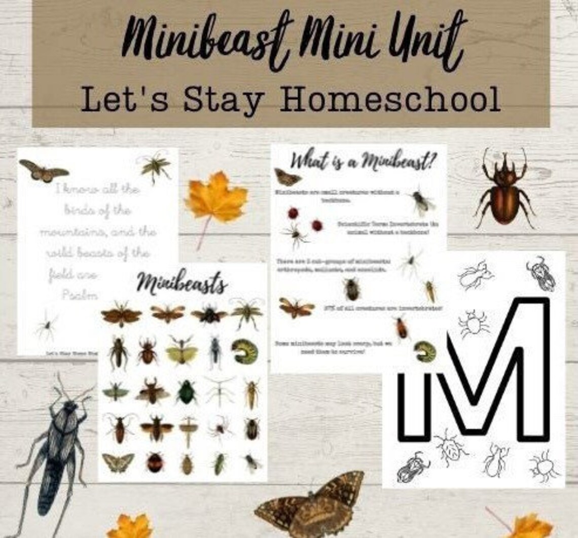 Minibeast Mini Unit Study Minibeast Unit Study Minibeast - Etsy