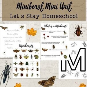 Minibeast Mini Unit Study| Minibeast Unit Study | Minibeast Homeschool ...