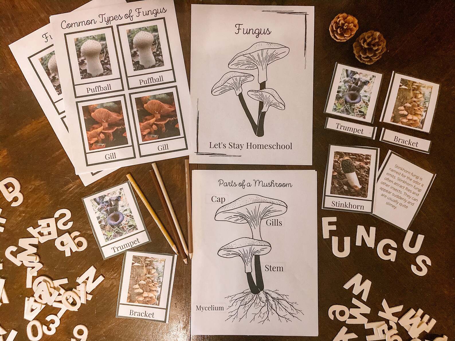 Fungus Mini Unit Fungus Unit Study Fungi Unit Study - Etsy