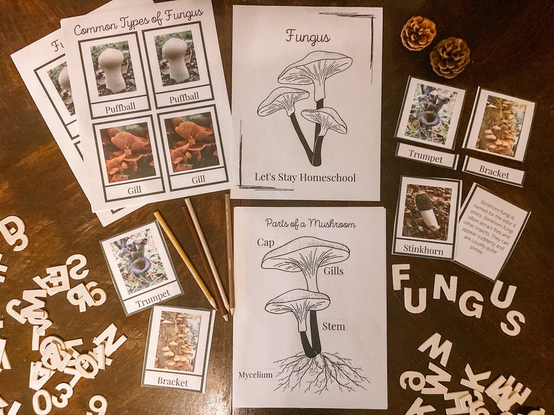 Fungus Mini Unit Fungus Unit Study Fungi Unit Study Nature Study Fungus ...