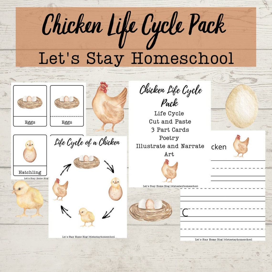 Chicken Life Cycle Mini Unit Chicken Life Cycle Bundle - Etsy