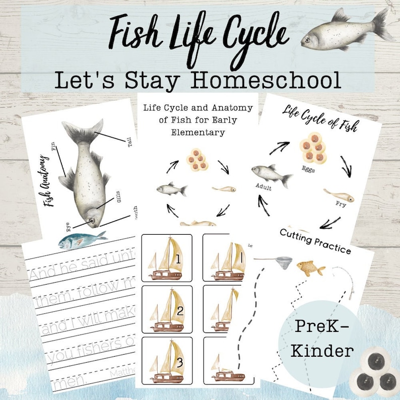 Fish Life Cycle and Anatomy Mini Unit Fish Preschool Pack | Etsy