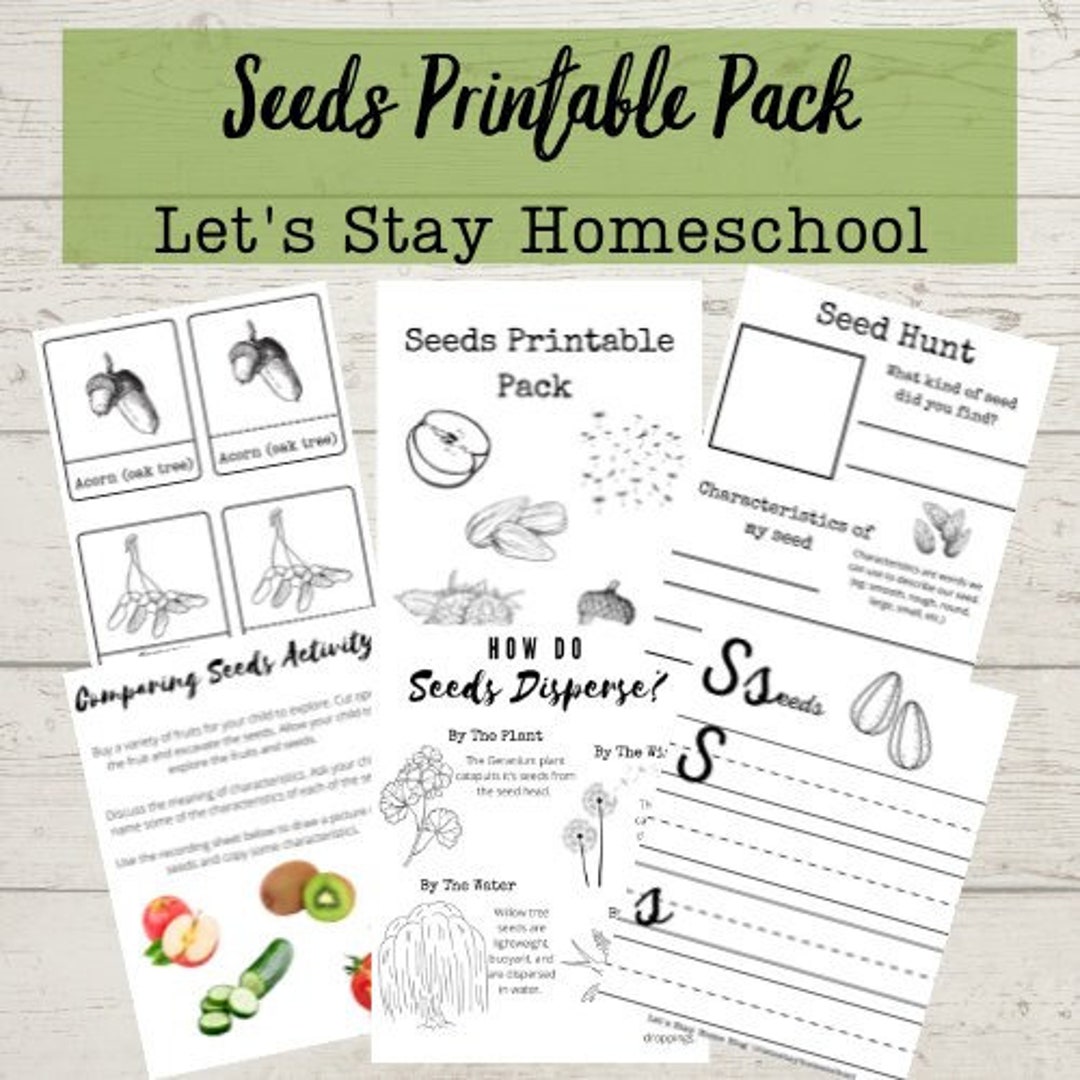 Seeds Mini Unit | Seeds Unit Study | Seeds Printable Pack - Etsy