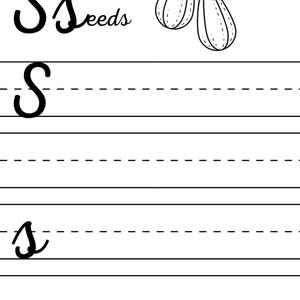 Seeds Mini Unit | Seeds Unit Study | Seeds Printable Pack - Etsy