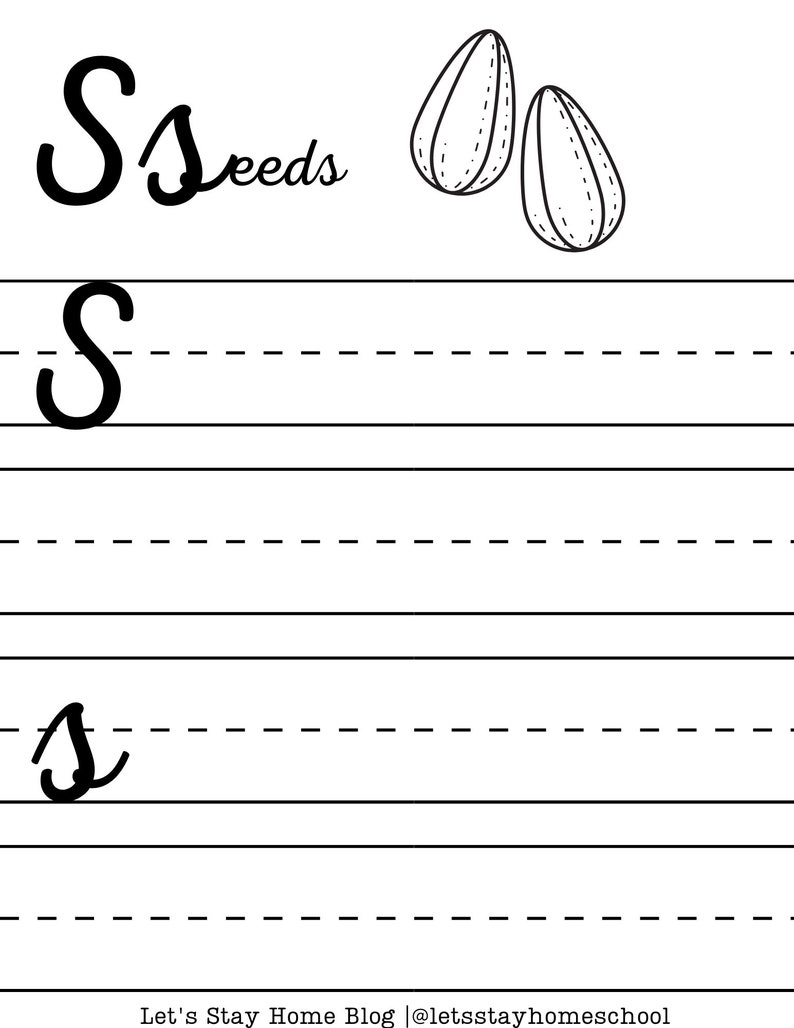 Seeds Mini Unit | Seeds Unit Study | Seeds Printable Pack - Etsy