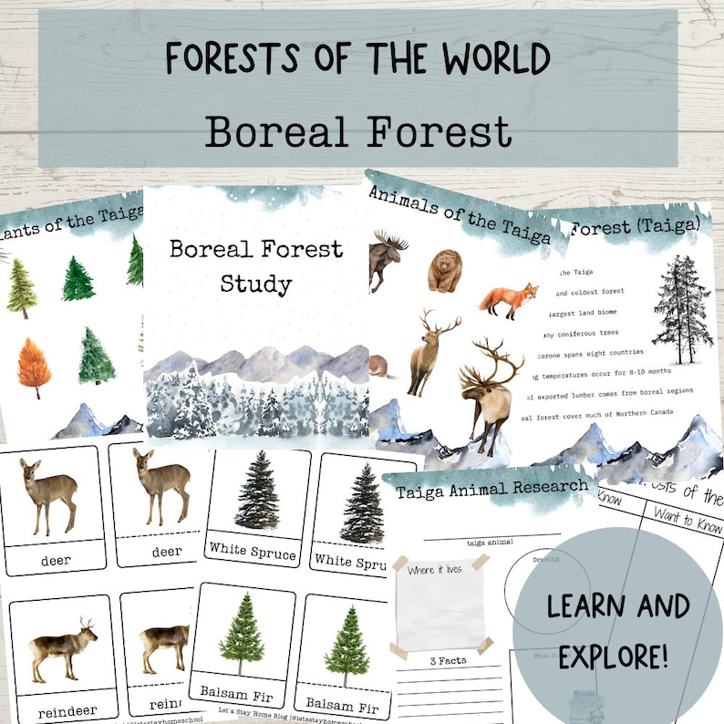 Forests of the World Unit Study Boreal Forest Study Tundra Study ...