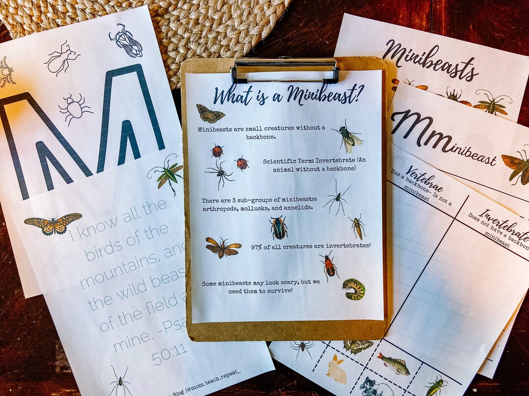 Minibeast Mini Unit Study| Minibeast Unit Study | Minibeast Homeschool ...